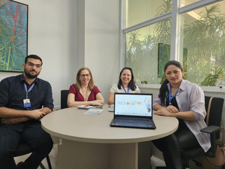 PROGRAMA TECNOVA – FAPEPI